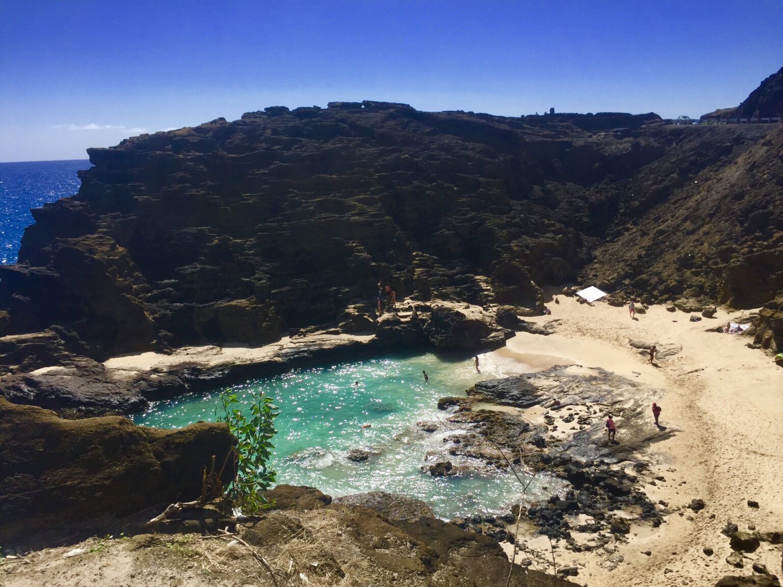 Private Tours on Oahu, Hawaii - Aloha Private Tours