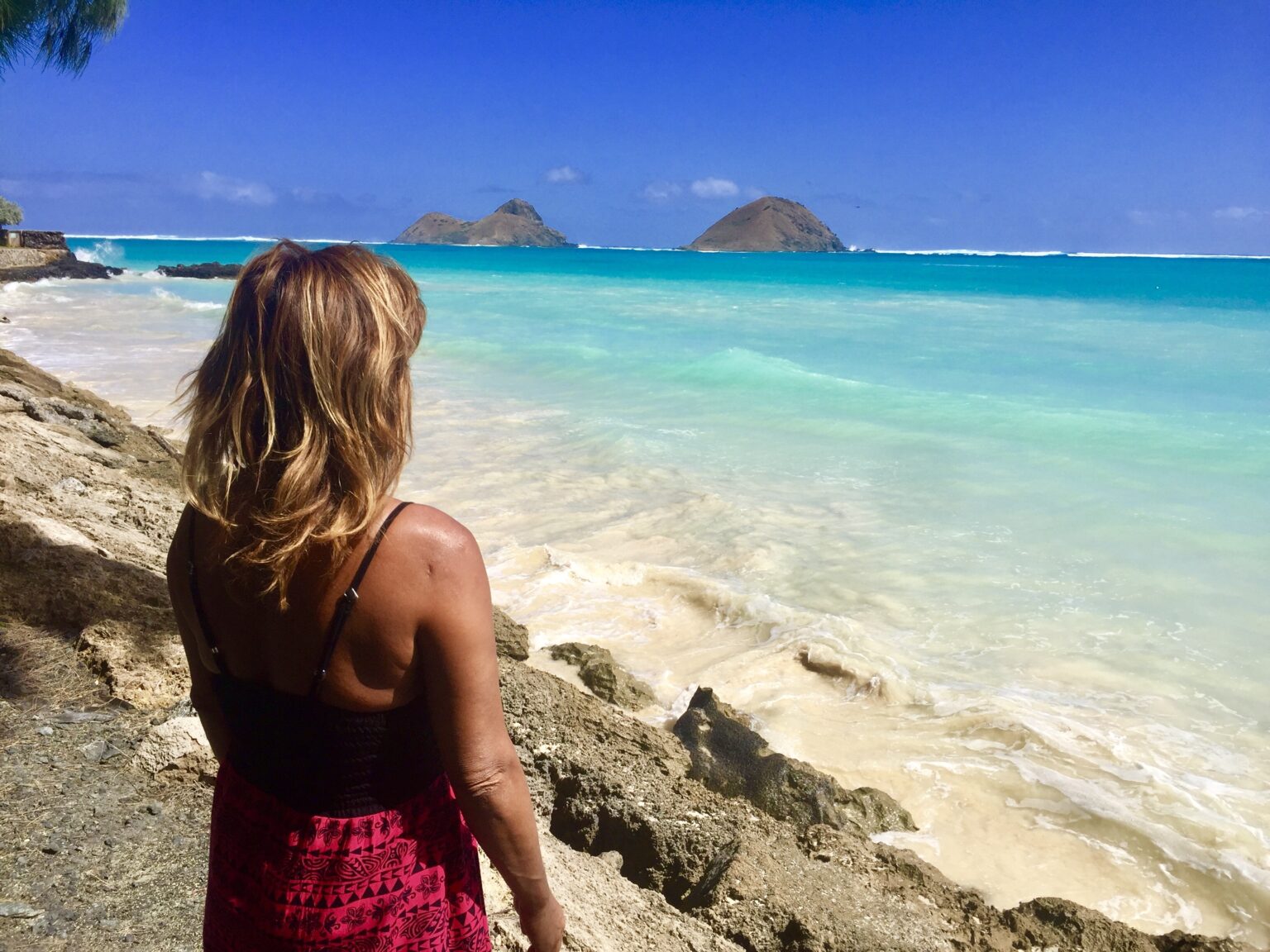 Private Tours on Oahu, Hawaii - Aloha Private Tours