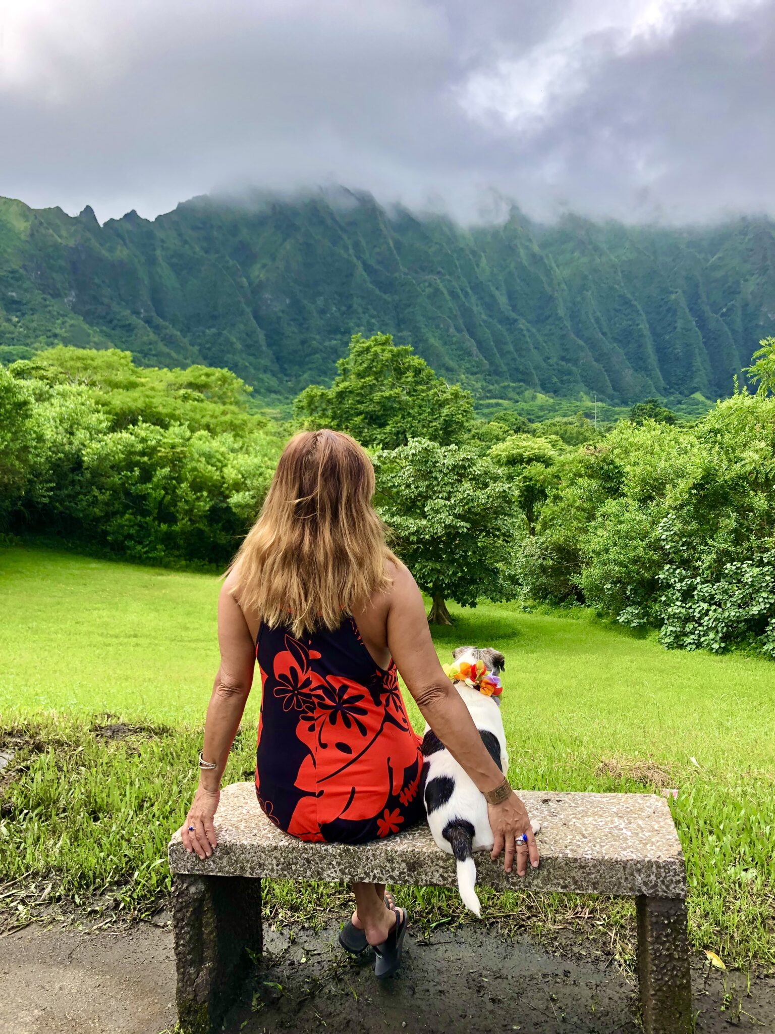 Private Tours on Oahu, Hawaii - Aloha Private Tours